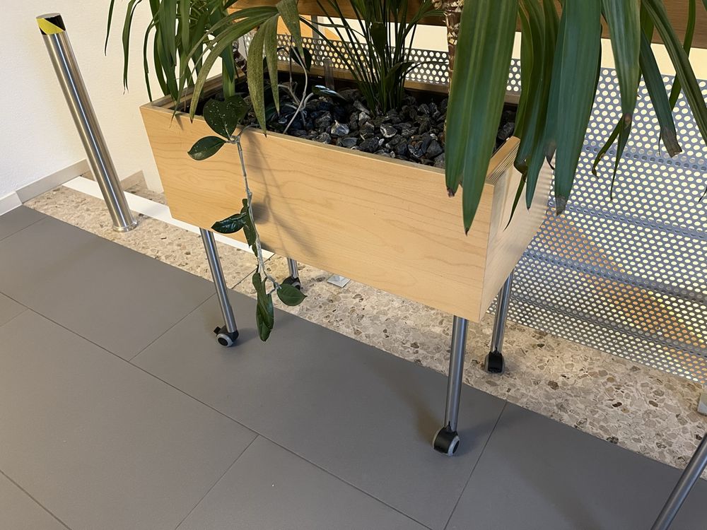 Blumensaulen Fur Innen