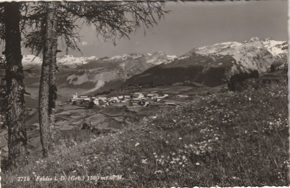 Feldis | Kaufen auf Ricardo