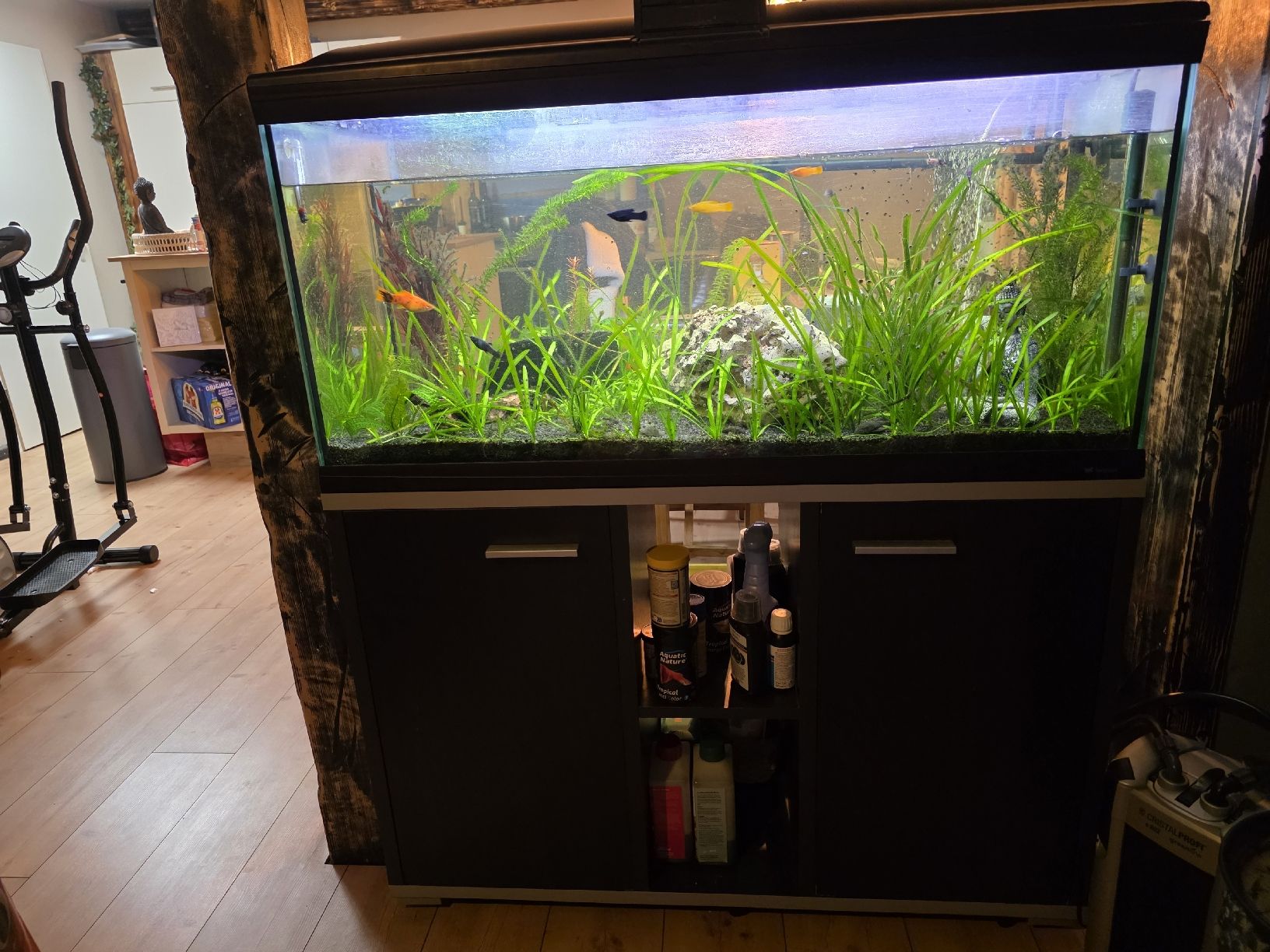 Aquarium Auf Rechnung