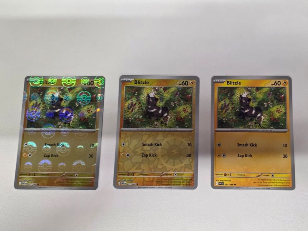 Pokemon White flare (Blitzle) 031 (Neu (gemäss Beschreibung)) in ...