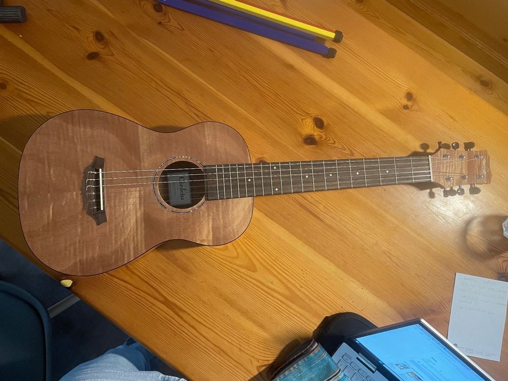 Kinder Gitare (Neu (gemäss Beschreibung)) in Rehetobel für CHF 145 – mit Lieferung auf Ricardo ...