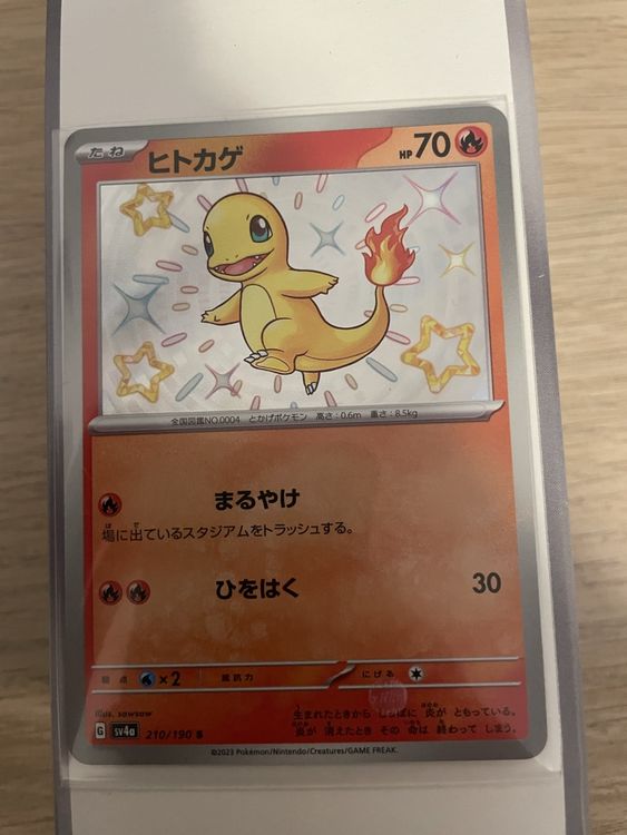 Shiny Treasure ex Charmander Shiny 210/190 (Neu (gemäss Beschreibung ...
