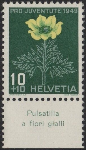 10 Rp. Schwefel-Anemone mit TAB (Pulsatilla a fiori gialli) | Kaufen auf Ricardo