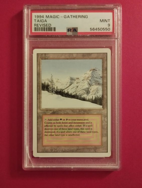 UNIQUE! MTG Revised Dual Land Set 10 Cards All graded PSA 9 (Gebraucht ...