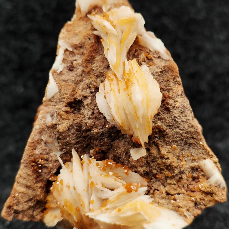 NATÜRLICH, BARIT grate besetzt mit orangefarbenem VANADINIT (Neu ...