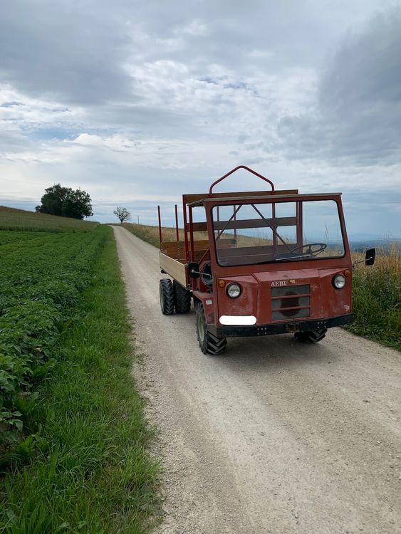 AEBI Transporter TP 35 (Gebraucht) in Aarberg für CHF 6200 – nur Abholung auf Ricardo kaufen