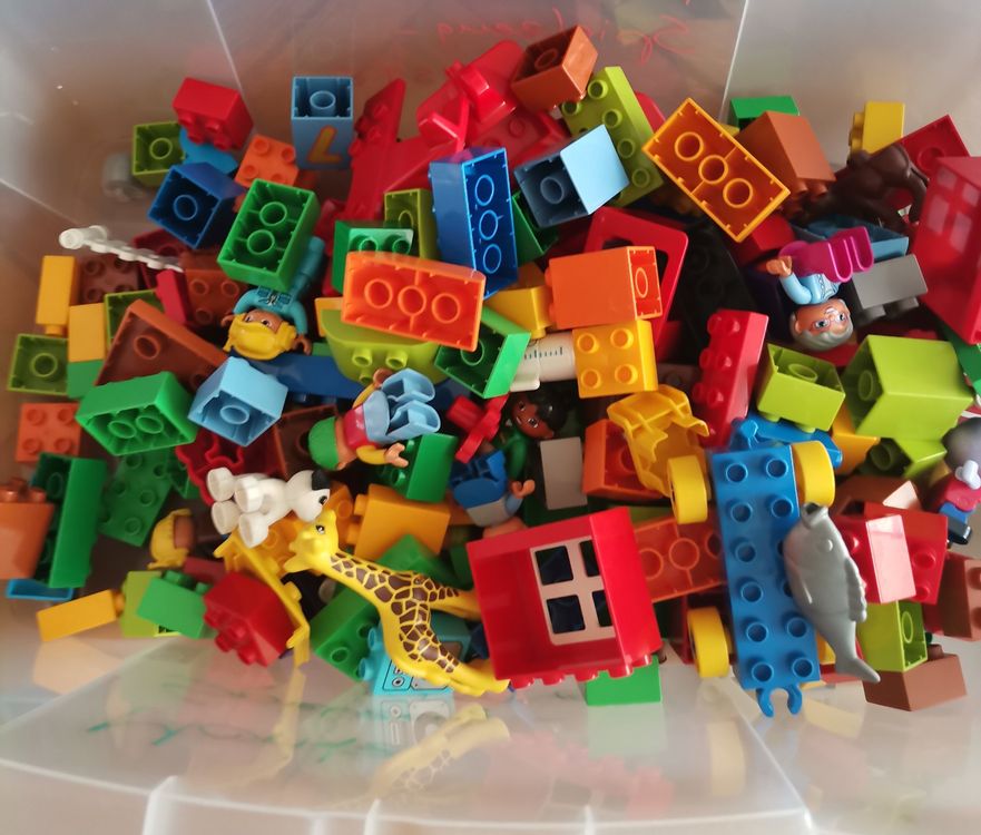 Lego Duplo Box | Kaufen auf Ricardo