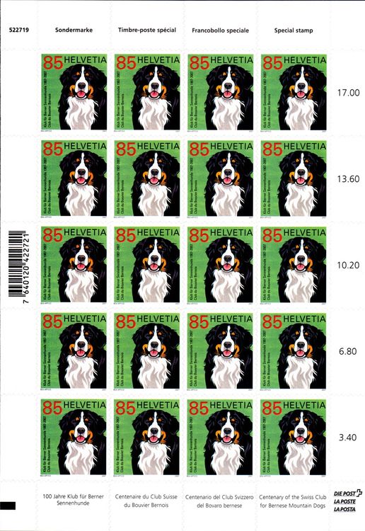 Bogen Berner Sennenhund** (Neu (gemäss Beschreibung)) in Dottikon für CHF 20.5 – mit Lieferung ...