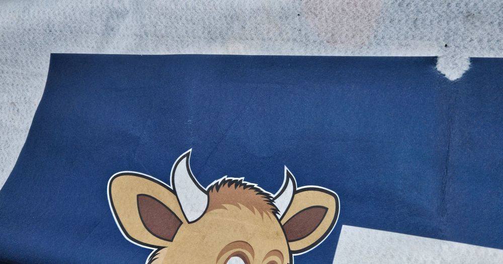 IIHF Eishockey Weltmeisterschaft 2026 Zürich Banner COOLY (Gebraucht ...