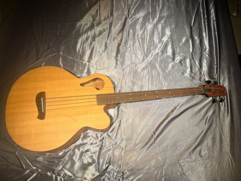 Akustischer Bass Tacoma Thunderchief zu verkaufen. 🎸🎶 (50) (Gebraucht ...