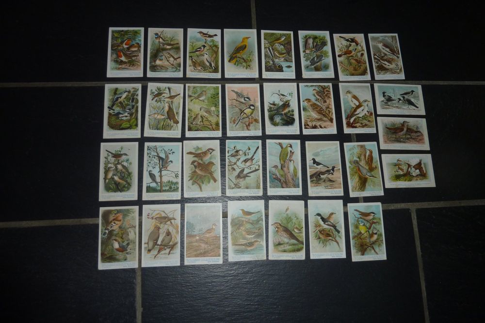 Sammelbild,Litho,Schutz Vogelwelt,Werbung,Cerolin,antik (Gebraucht) in ...