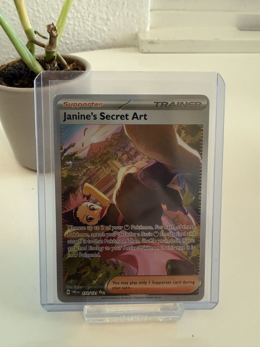 Janine‘s Secret Art (SIR) 173/131 PRE 🇺🇸 (Neu (gemäss Beschreibung)) in ...