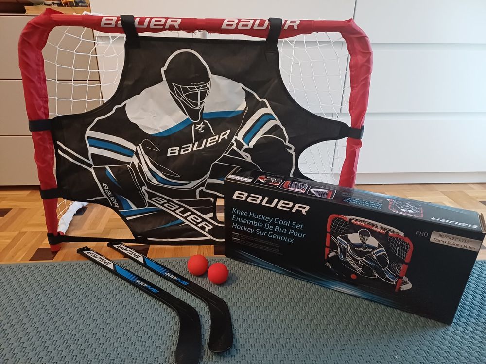 Mini Eishockeytor, Torwand, 2 Schläger, 1 Ball (Neu (gemäss ...