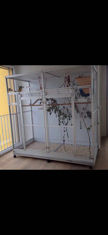 Edelstahl Voliere Eloxiert Silbermatt | Kaufen auf Ricardo