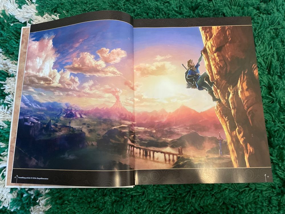 Zelda botw Master Works ( breath of the wild) (Gebraucht) in ...