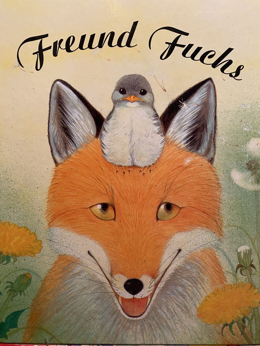 Freund Fuchs: Bilderbuch für Kinder - Top Zustand! (Gebraucht) in ...