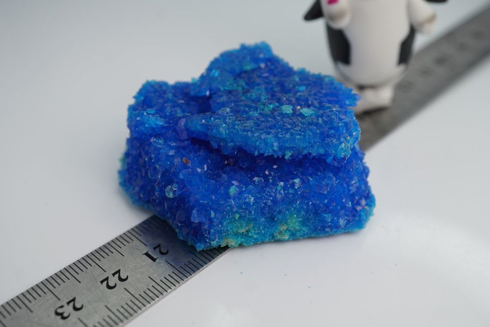 Chalcantite (Kupfer vitriol) Stufe Zucht 50mm x42mm no2 (Neu und ...