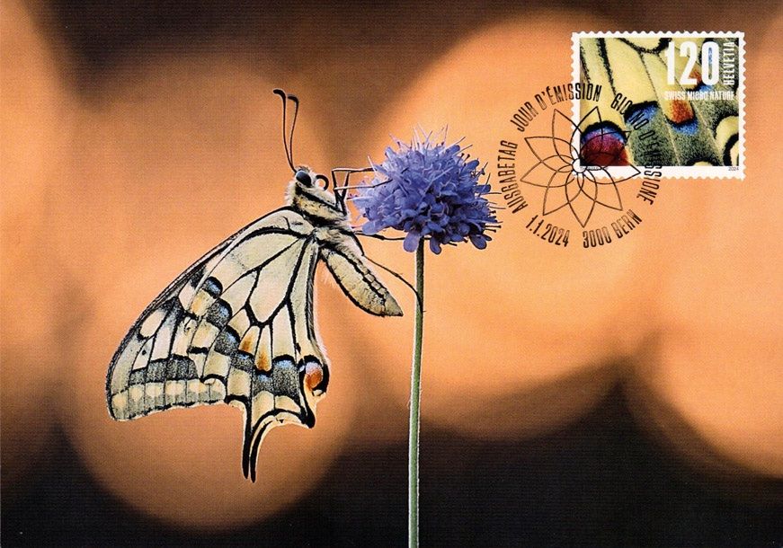 Maximumkarte Naturmuster - Schmetterling | Kaufen auf Ricardo