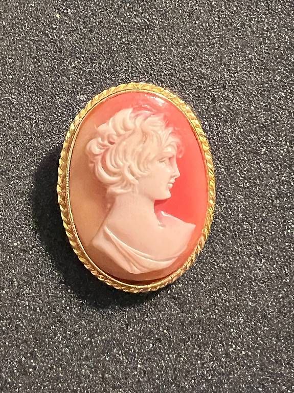 Broche camée coquille Monture dorée Profil féminin (Gebraucht) in ...