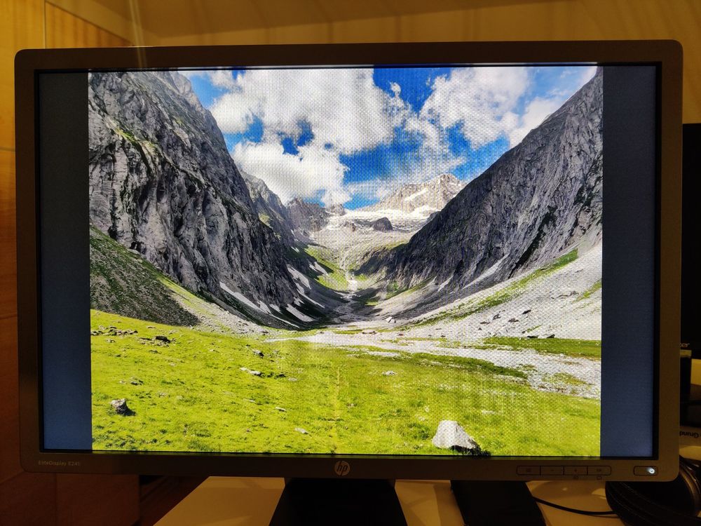 HP EliteDisplay E241i 24 Zoll Monitor (1/2) (Gebraucht) in Lausanne für ...
