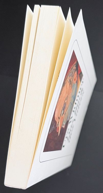 Das Buch des Vaters – Urs Widmer – Diogenes TB – neuwertig (Neu (gemäss Beschreibung)) in Bern ...