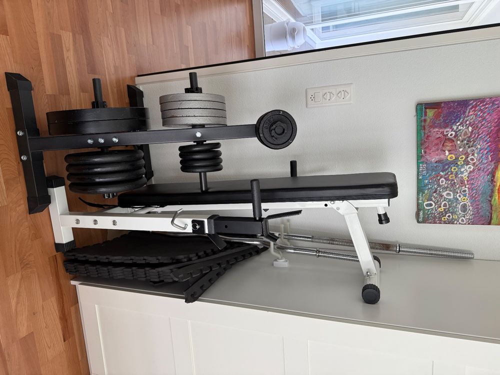 Hantelbank, Gewichte, Lang- und Kurzhanteln für dein Workout (Gebraucht ...