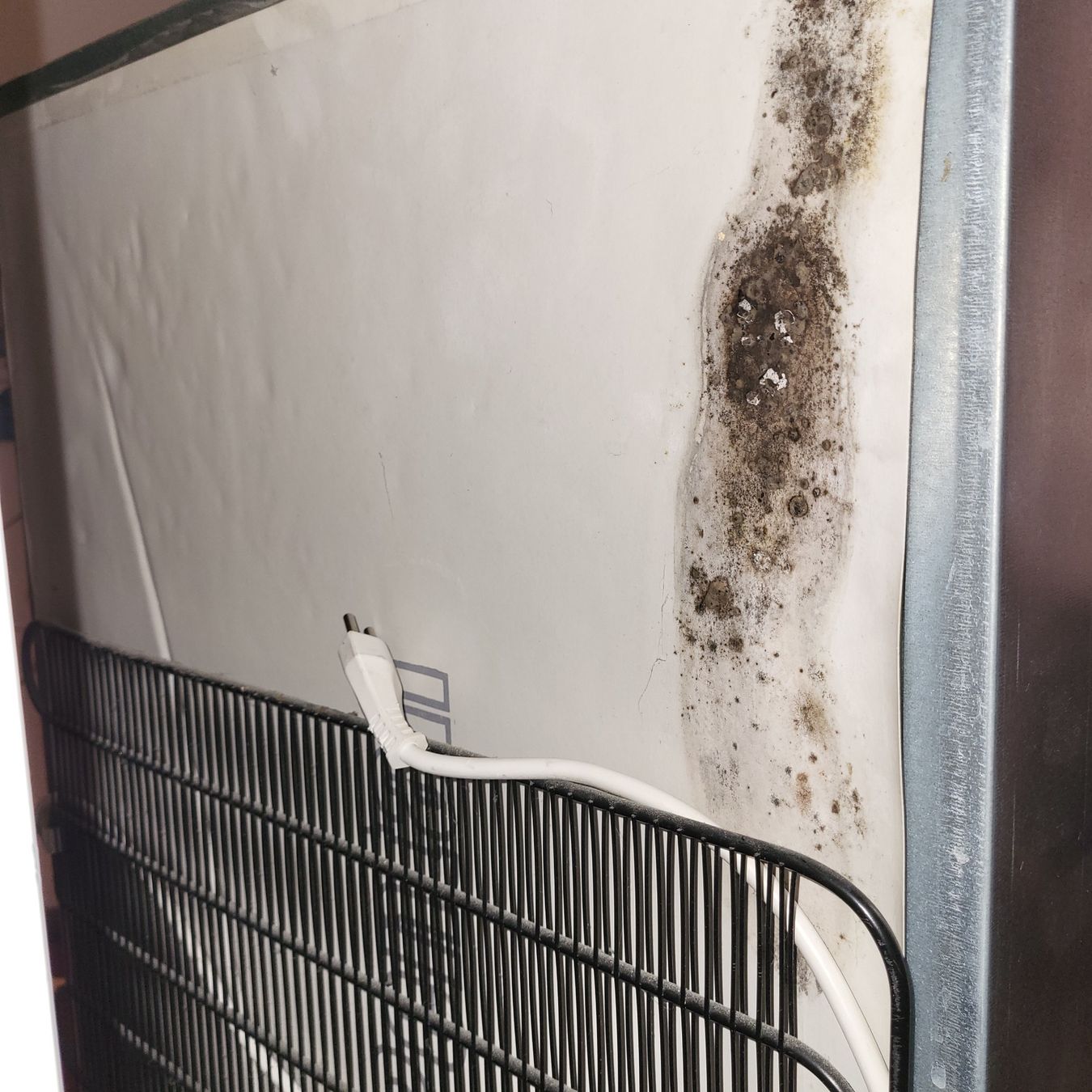 V-Zug Kühlschrank 152cm hoch (Gebraucht) in Berikon für CHF 5 – nur ...