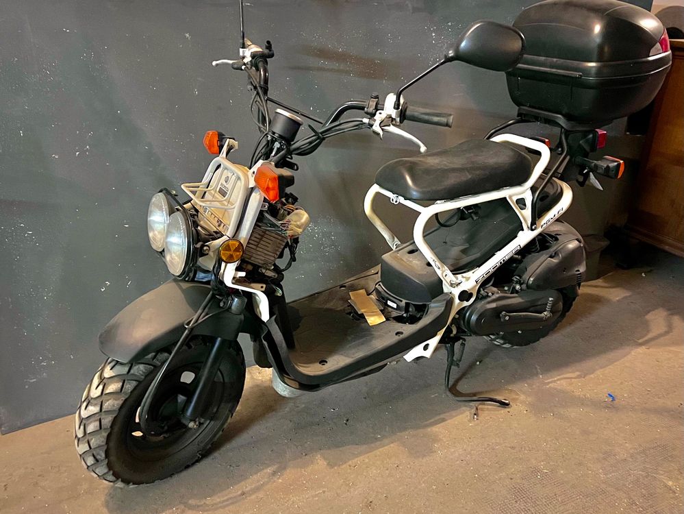 Honda NPS 50 Zoomer (Gebraucht) in Bern für CHF 320 – nur Abholung auf ...