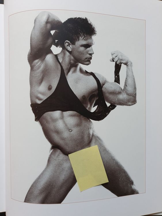 Robert John Guttke - Shadow Light (Gebraucht) in für CHF 30 – mit Lieferung auf Ricardo kaufen