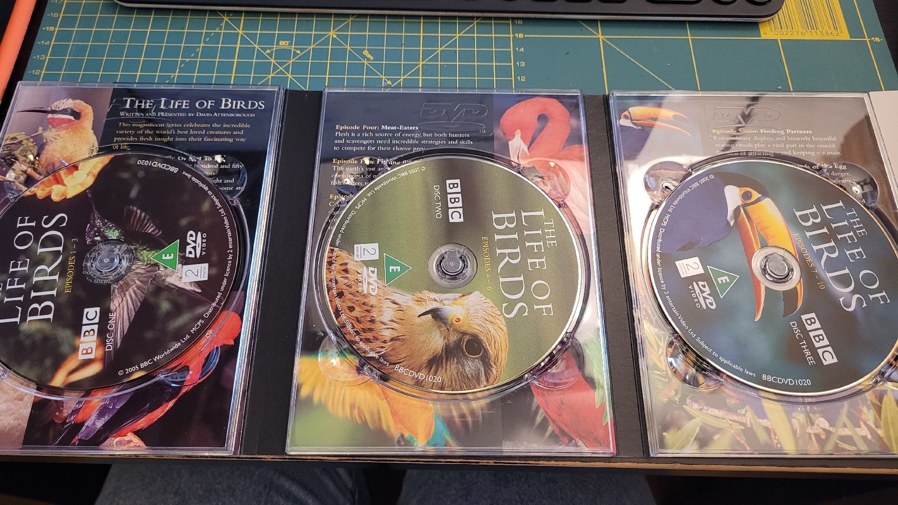 DVD BBC - The Life of Birds, série complète en anglais (D'occasion) à ...