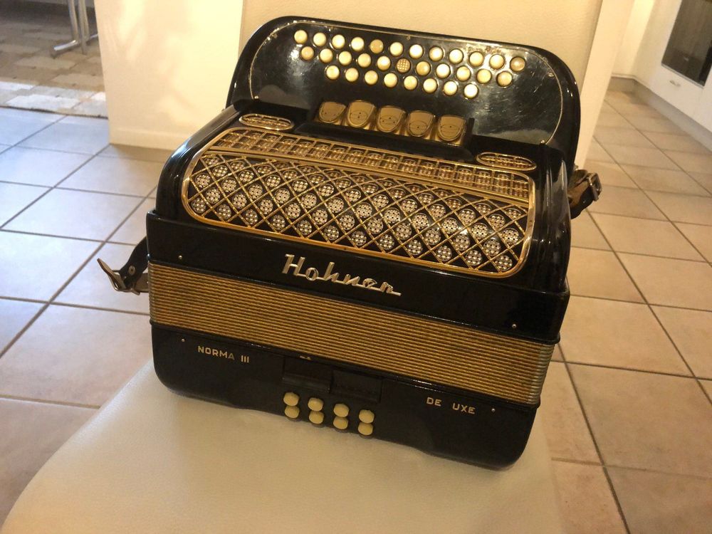 Handharmonika diatonisch | Kaufen auf Ricardo