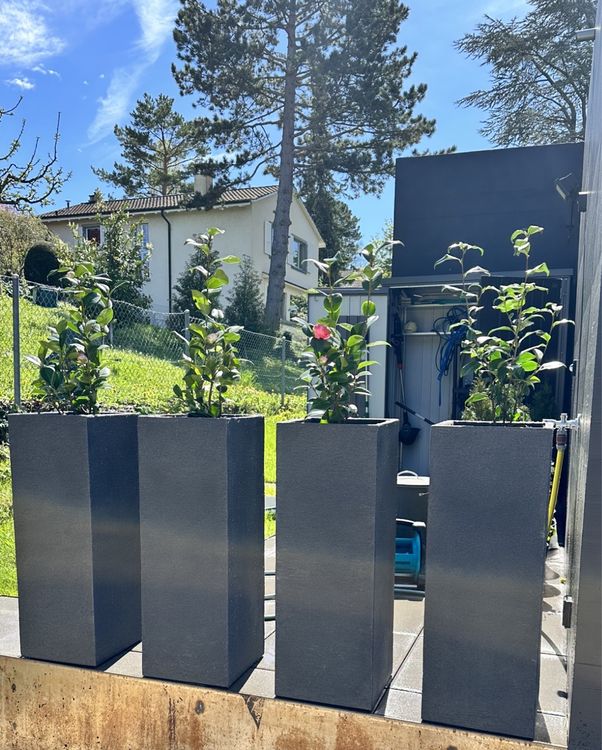 4 x grosse Pflanzkübel Blumentopf Pflanzentopf (Gebraucht) in Muttenz für CHF 69 – nur Abholung ...