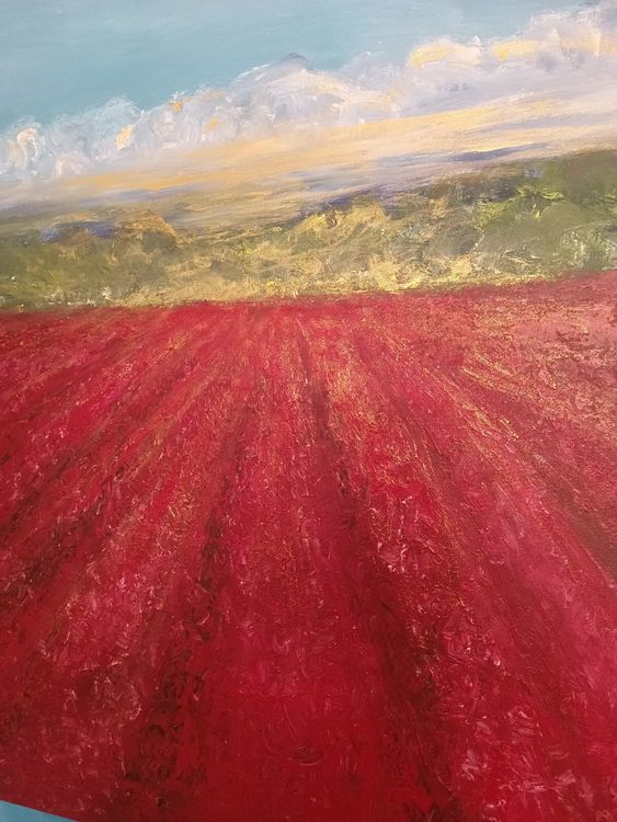 Moderne Kunst Acrylbild auf Leinwand "Roten Feld" 90 cm (Neu und originalverpackt) in Beinwil am ...
