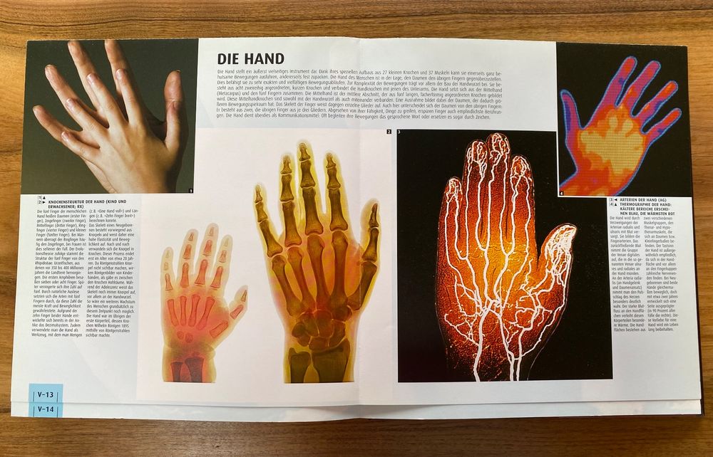 Anatomie Körper Welt Atlas Pop Up (Gebraucht) in Buochs für CHF 5 – mit ...