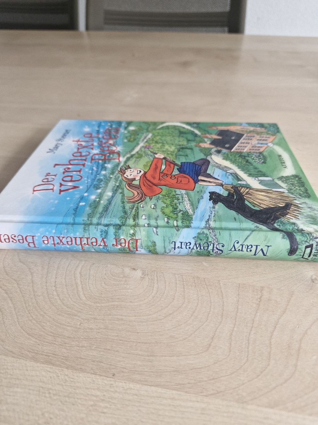 Der verhexte Besen von Mary Stuart (Neu (gemäss Beschreibung)) in ...