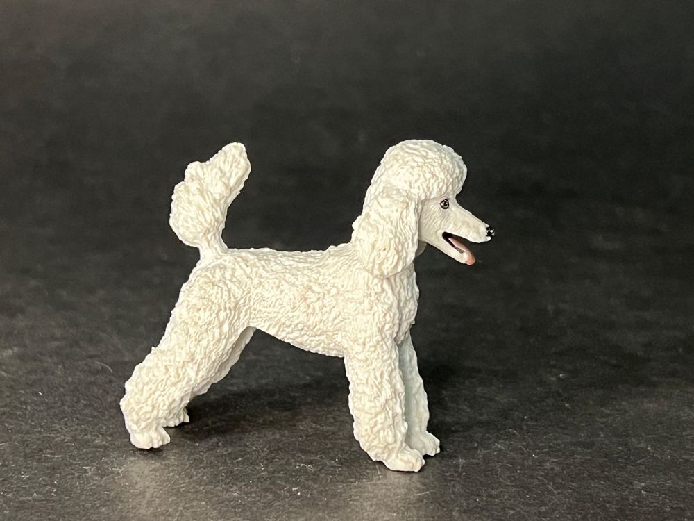Schleich Pudel Hund Hündin (Gebraucht) in Ennetbaden für CHF 5 – mit Lieferung auf Ricardo kaufen