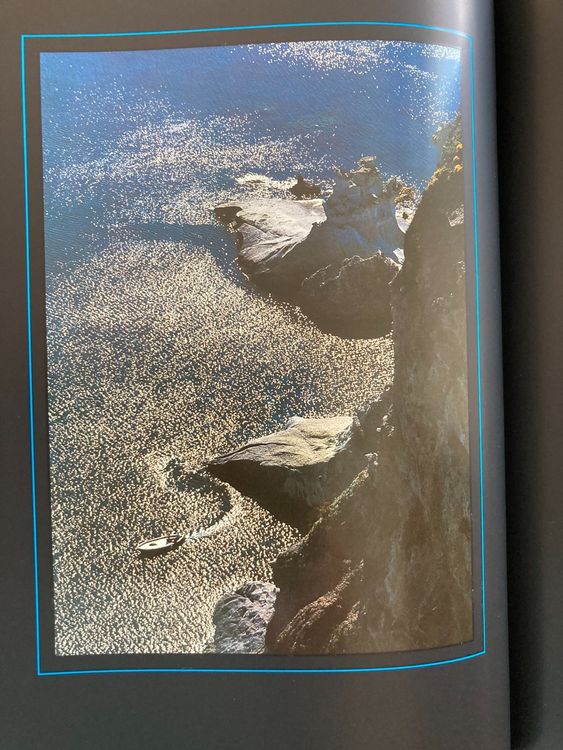 ANIMAN MENSCH UND NATUR Völker des Drachen und des Phönix (Gebraucht ...