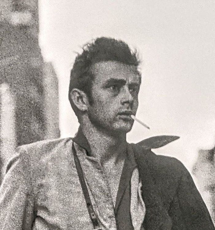 James Dean Fan Poster 91.5 x 61cm (Gebraucht) in Wetzikon ZH für CHF 5 ...
