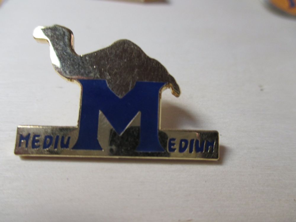 Camel Medium Pin (Neu (gemäss Beschreibung)) in Felsberg für CHF 0.5 ...