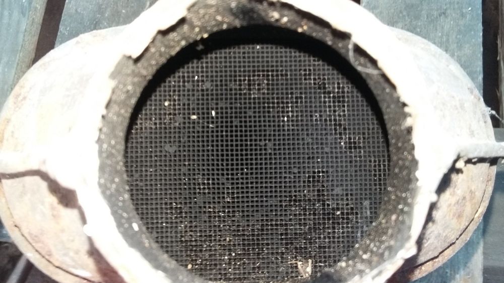 defekter Katalysator Renault Master (Defekt) in Dulliken für CHF 43 ...