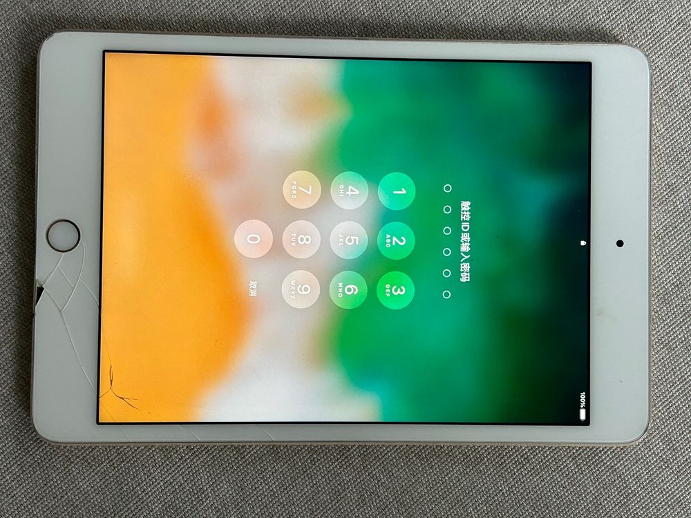 ipad mini 4 | Kaufen auf Ricardo