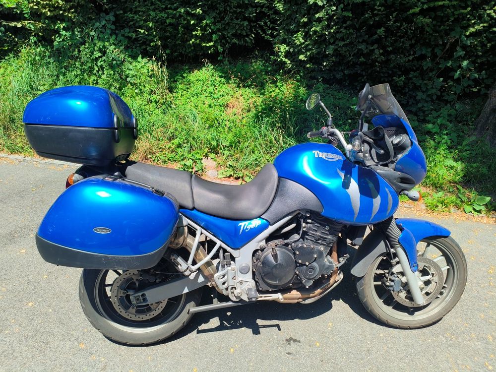 Triumph Tiger 955i, 2006, 69t KM - MFK/Service, Top Zustand (Gebraucht ...