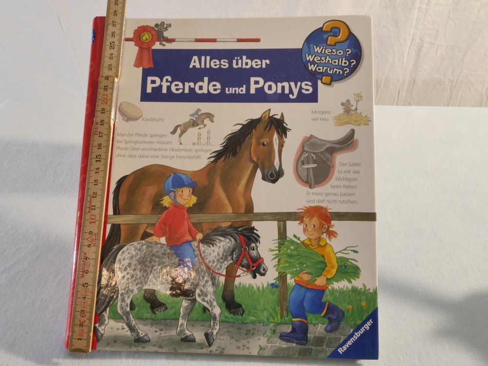 Buch Wieso Weshalb Warum Alles über Pferde und Ponys | Kaufen auf Ricardo