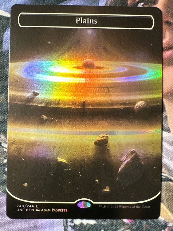 Full Art Basic Land Plains FOIL 240/244 Unfinity (Neu (gemäss ...