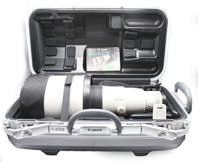 Canon EF 600mm f/4 IS II USM (Gebraucht) in Bellinzona für CHF 7290 – mit Lieferung auf Ricardo ...