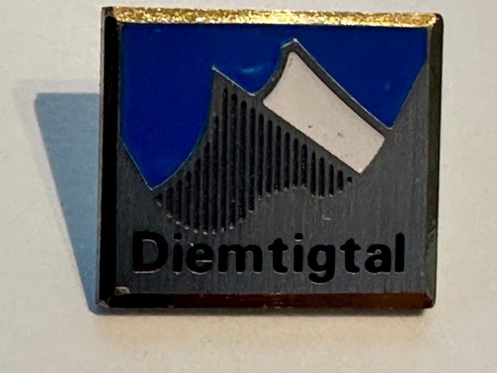 Diemtigtal Pin (Gebraucht) in Gutenswil für CHF 5 – mit Lieferung auf Ricardo kaufen