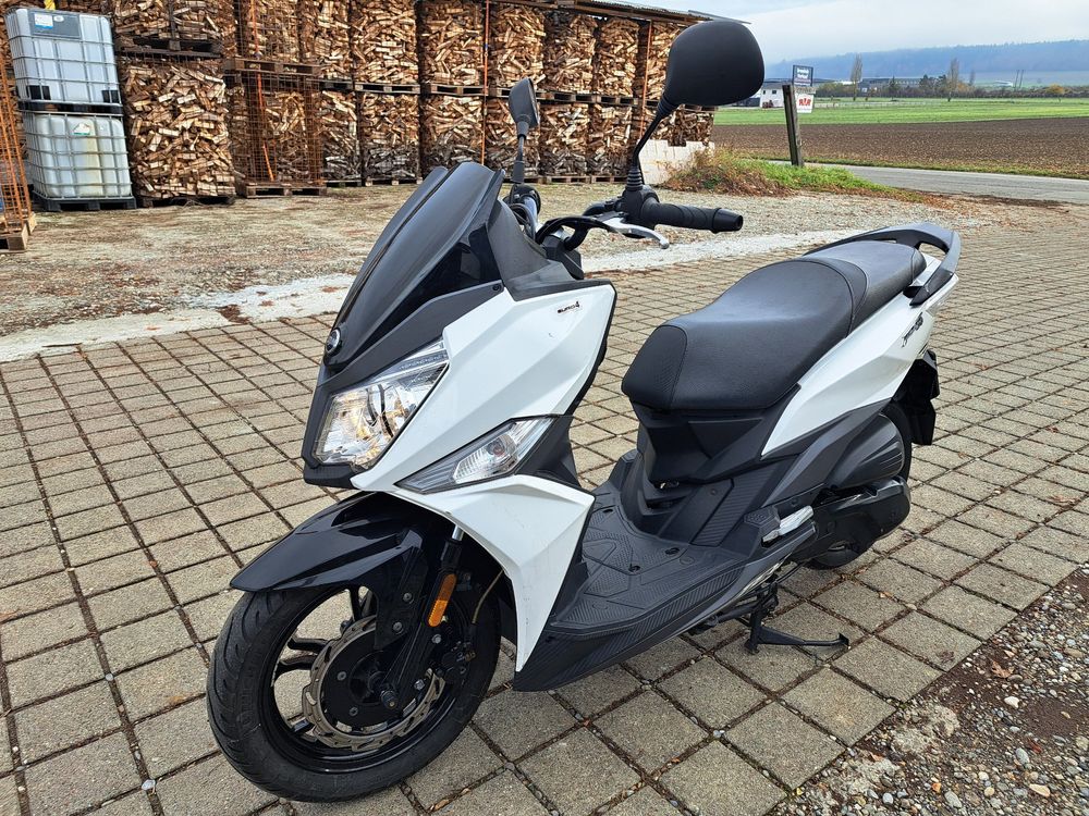 SYM Jet 14 125 Roller frisch ab MFK+Service+Garantie Liefern (Gebraucht ...