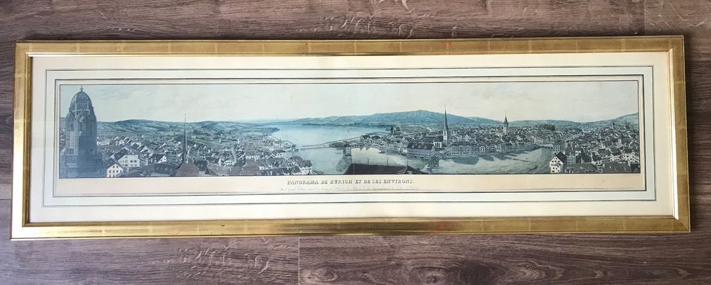 Franz Schmid, Panorama der Stadt Zürich und Umgebung (Gebraucht) in ...