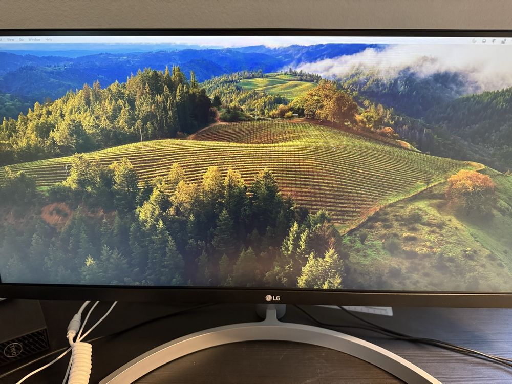 LG 29WN600-W 29 inch UltraWide WFHD IPS | Kaufen auf Ricardo