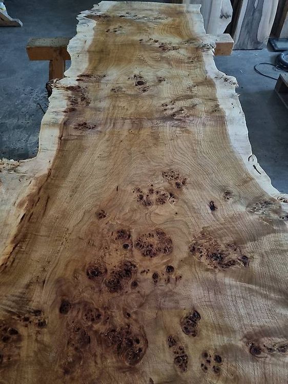 Große Maser-Pappel-Platte 207 cm Massivholz Klotzbretter XXL (Gebraucht ...